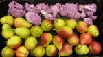 child nutrition | School Meals That Rock